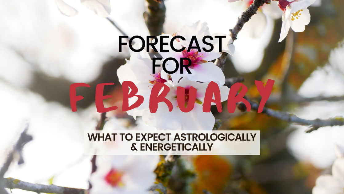 February Forecast – 808 Co.