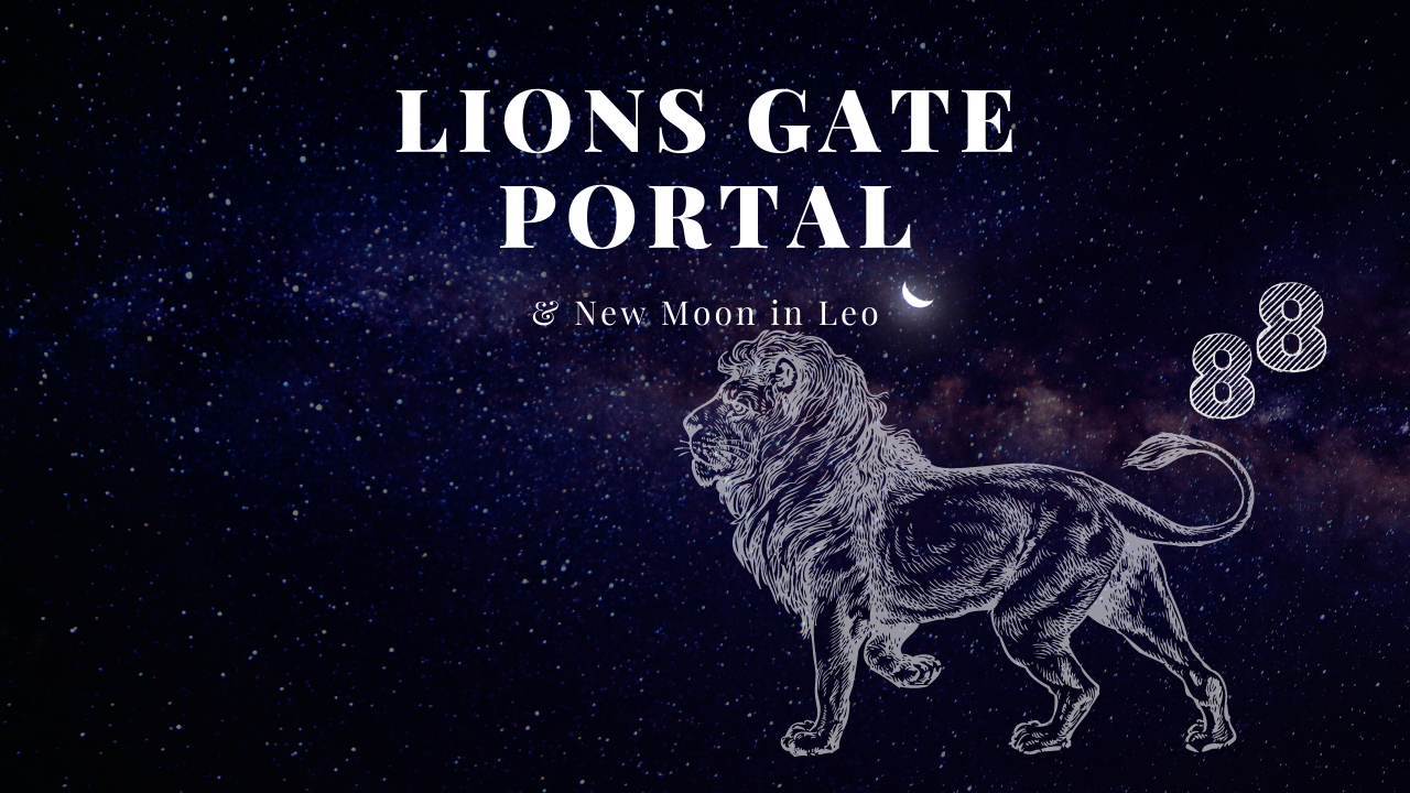 Moon Gate Portal Through
